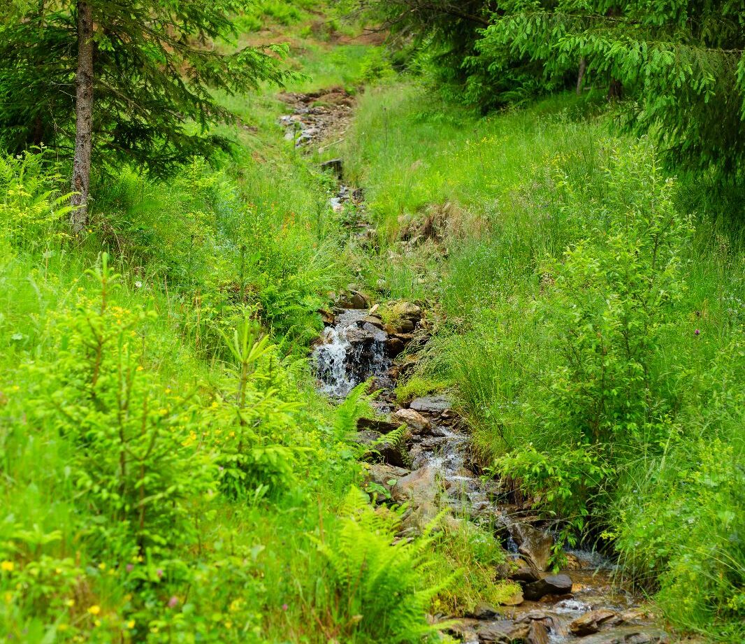Discover Ciocanesti: A Rustic Paradise Near Chalet Cucu Zen - Cucu Zen ...